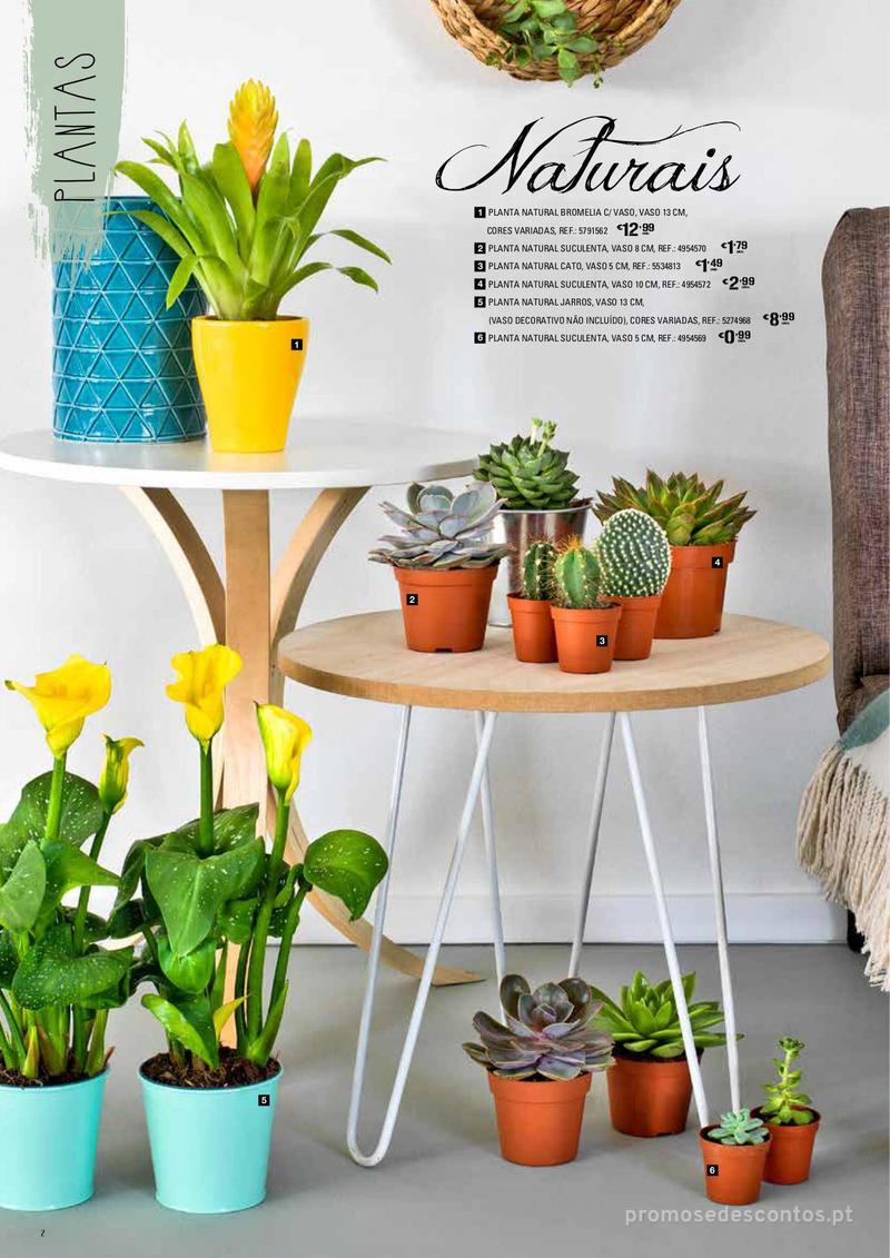 Folheto Continente Transforme a sua casa num jardim - 2 de Maio a 28 de ...